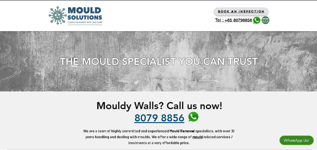 8 Best Companies For Mold Removal Service In Singapore 2025