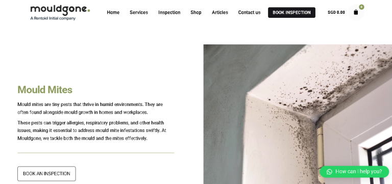 8 Best Companies For Mold Removal Service In Singapore 2025