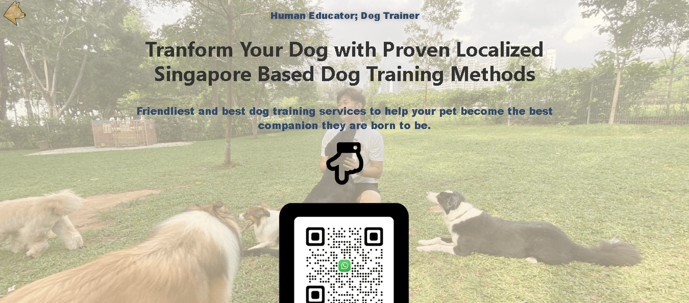 10 Best Dog Training In SG For Affordable Classes (2026)