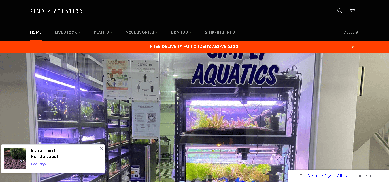 7 Best Aquarium Shops In SG For Every Fish Enthusiast